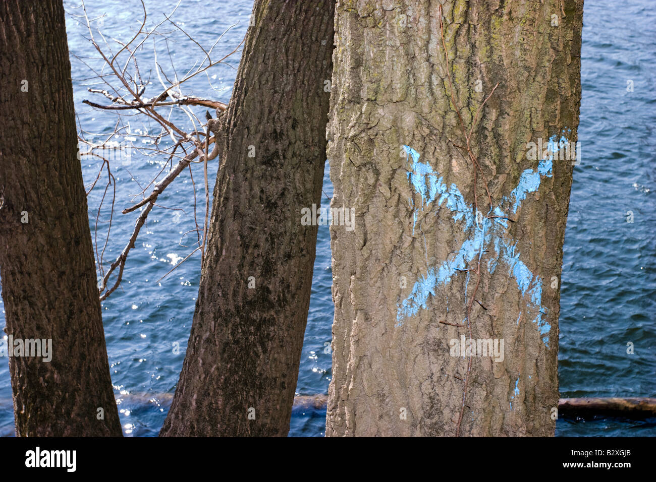 Marked with x hi-res stock photography and images - Alamy
