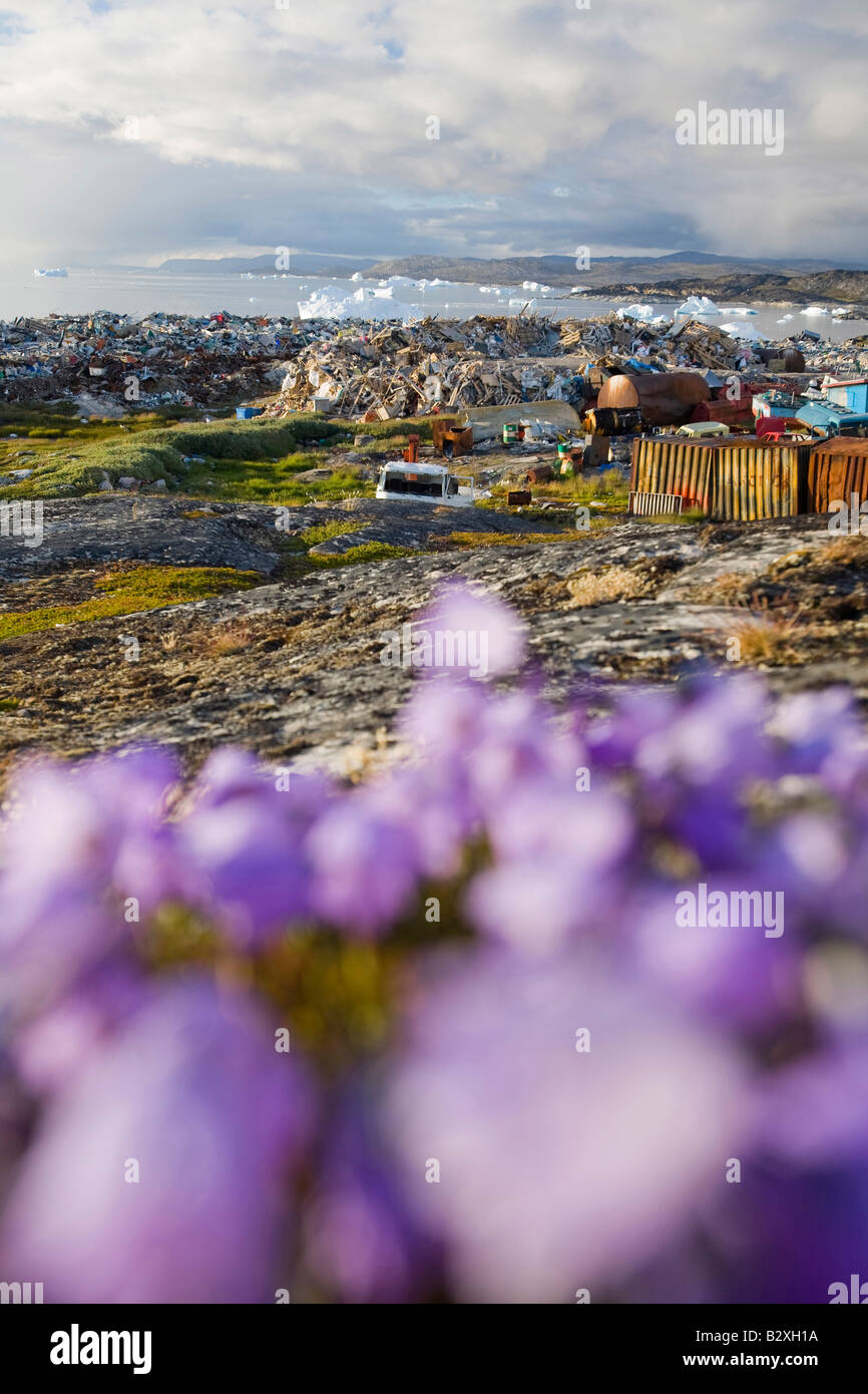 Contamination in greenland hi-res stock photography and images - Alamy