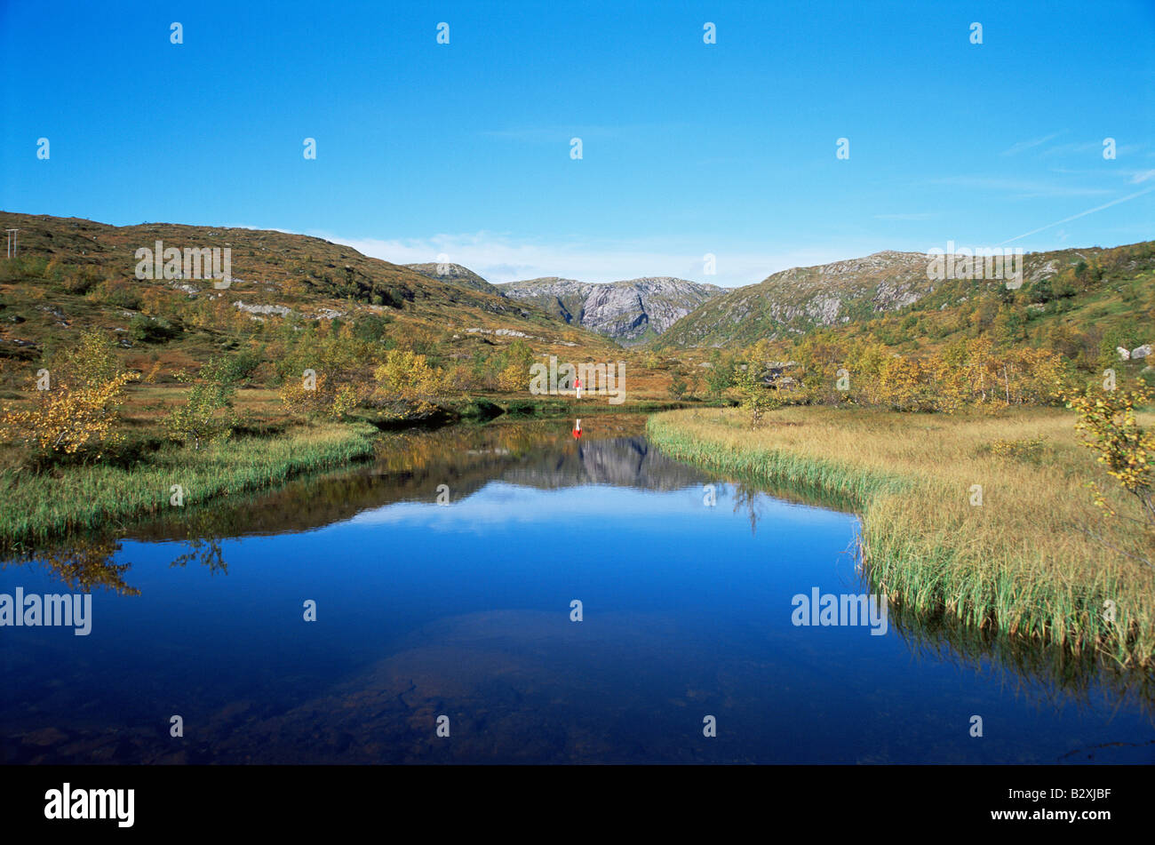 Scenic view of river Stock Photo - Alamy