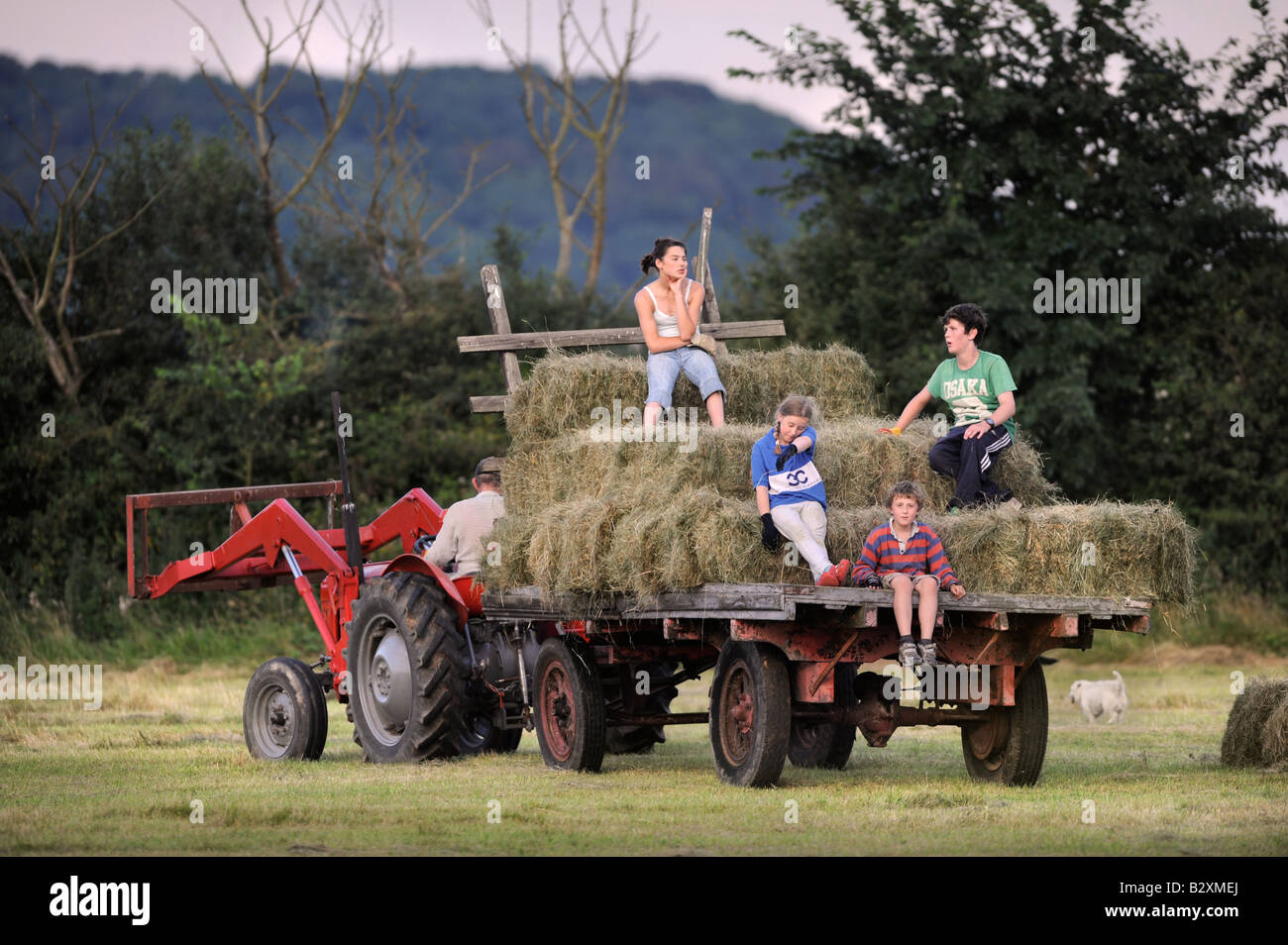 Old fashioned hay cart hi-res stock photography and images - Alamy