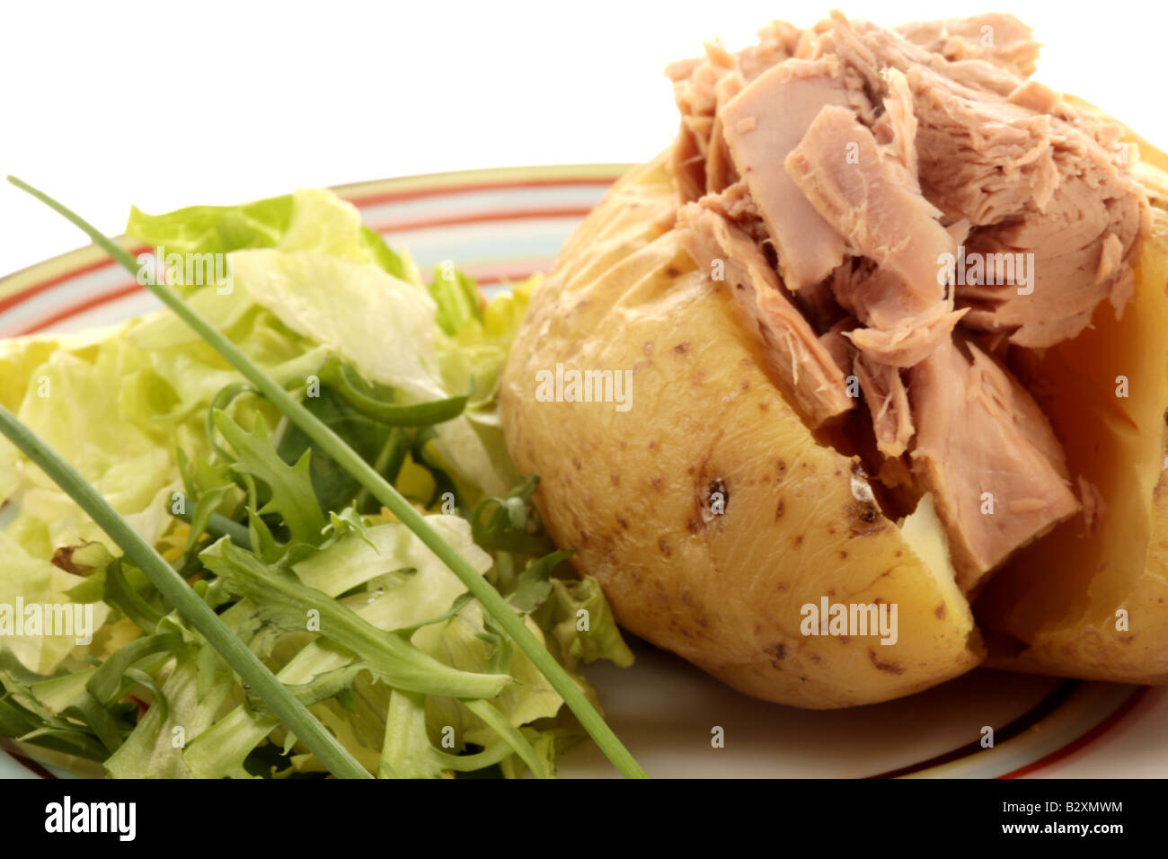 Freshly Baked Jacket Potato With Tuna Fish Filling And A Green Salad ...