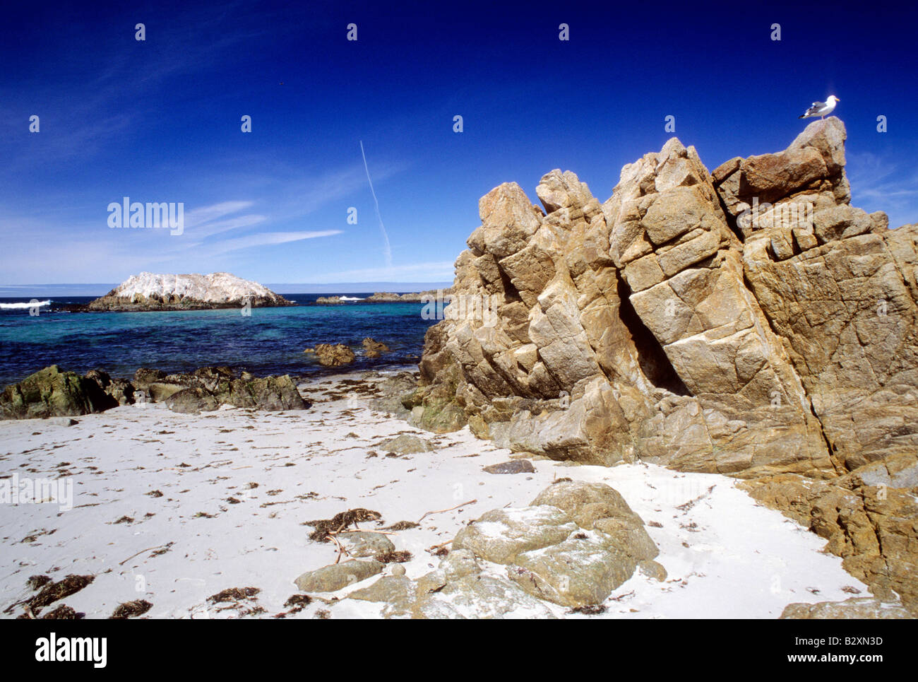 California reefs hi-res stock photography and images - Alamy