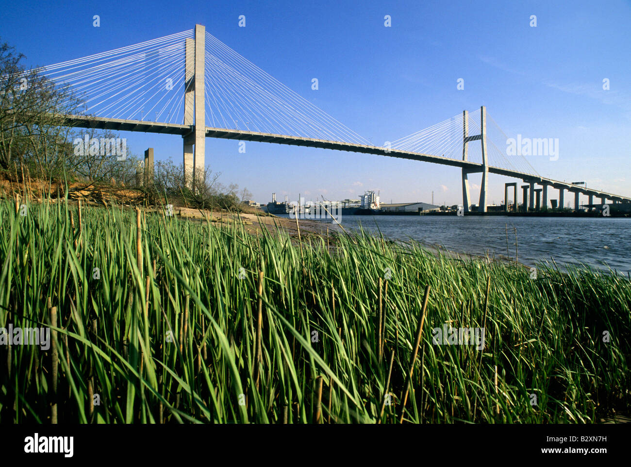 the great savannah bridge, savannah, georgia, usa Stock Photo - Alamy