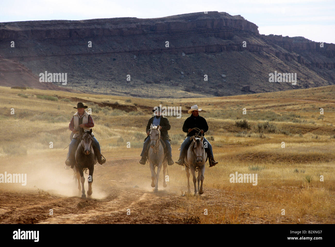 Willow creek ranch hi-res stock photography and images - Alamy