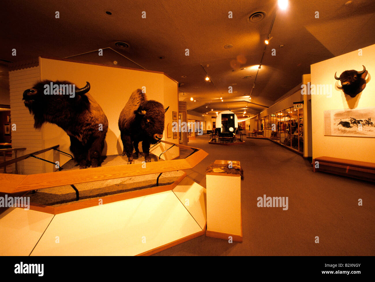 buffalo bill historical center, cody, wyoming, usa Stock Photo - Alamy