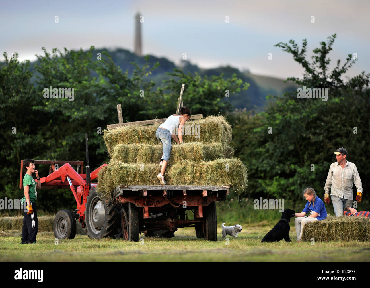 A FARMING FAMILY COLLECTING HAY IN THE TRADITIONAL STYLE IN ...