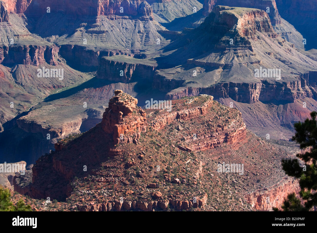 Angel Point of the Grand Canyon- morning 7 Stock Photo - Alamy
