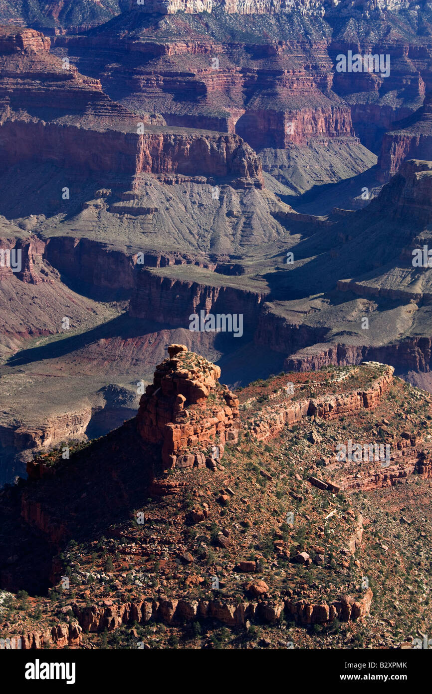 Angel Point of the Grand Canyon- morning 8 Stock Photo - Alamy