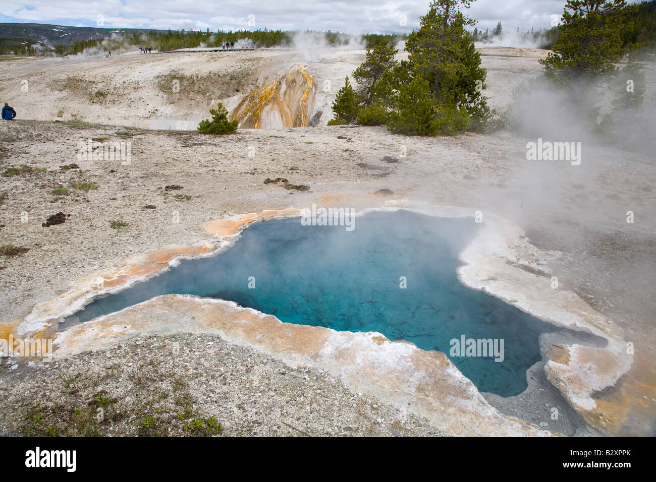 Blue Star Spring 2, Upper Basin of Yellowstone Stock Photo - Alamy