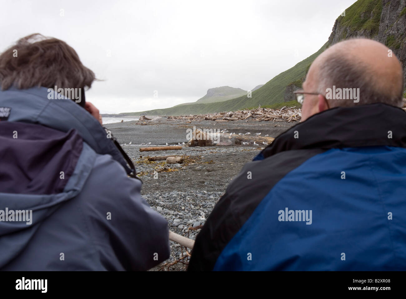 Tourists bear watching on a beach in Katmai National Park and Preserve ...