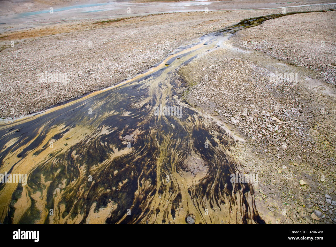 Mats of thermophilic algae 4, Norris Geyser Basin, Yellowstone National ...
