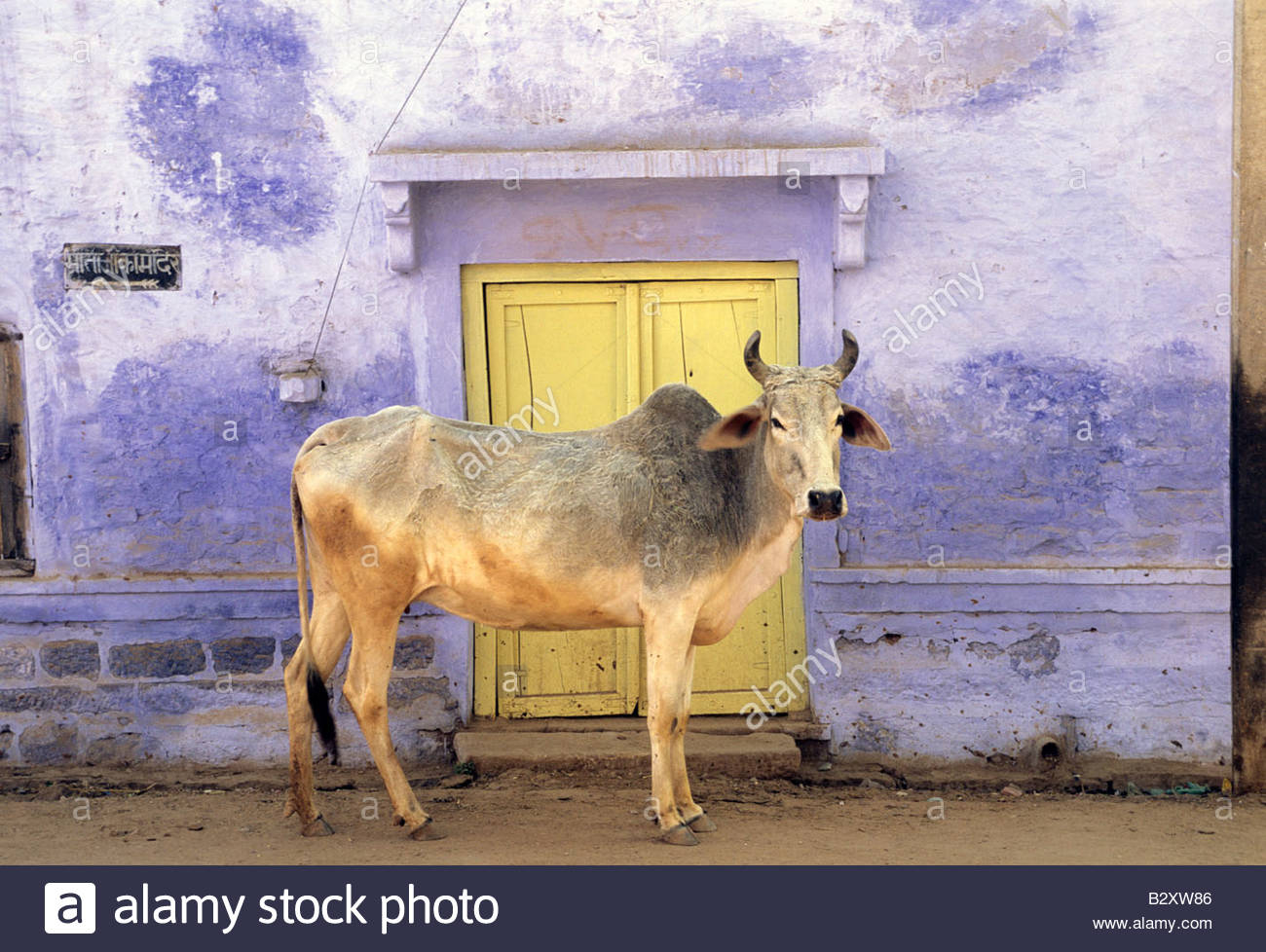 Osian High Resolution Stock Photography and Images - Alamy