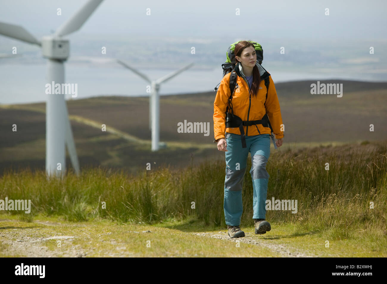 Female hiker walking past wind turbines, Kirkby Moor Windfarm, Furness ...