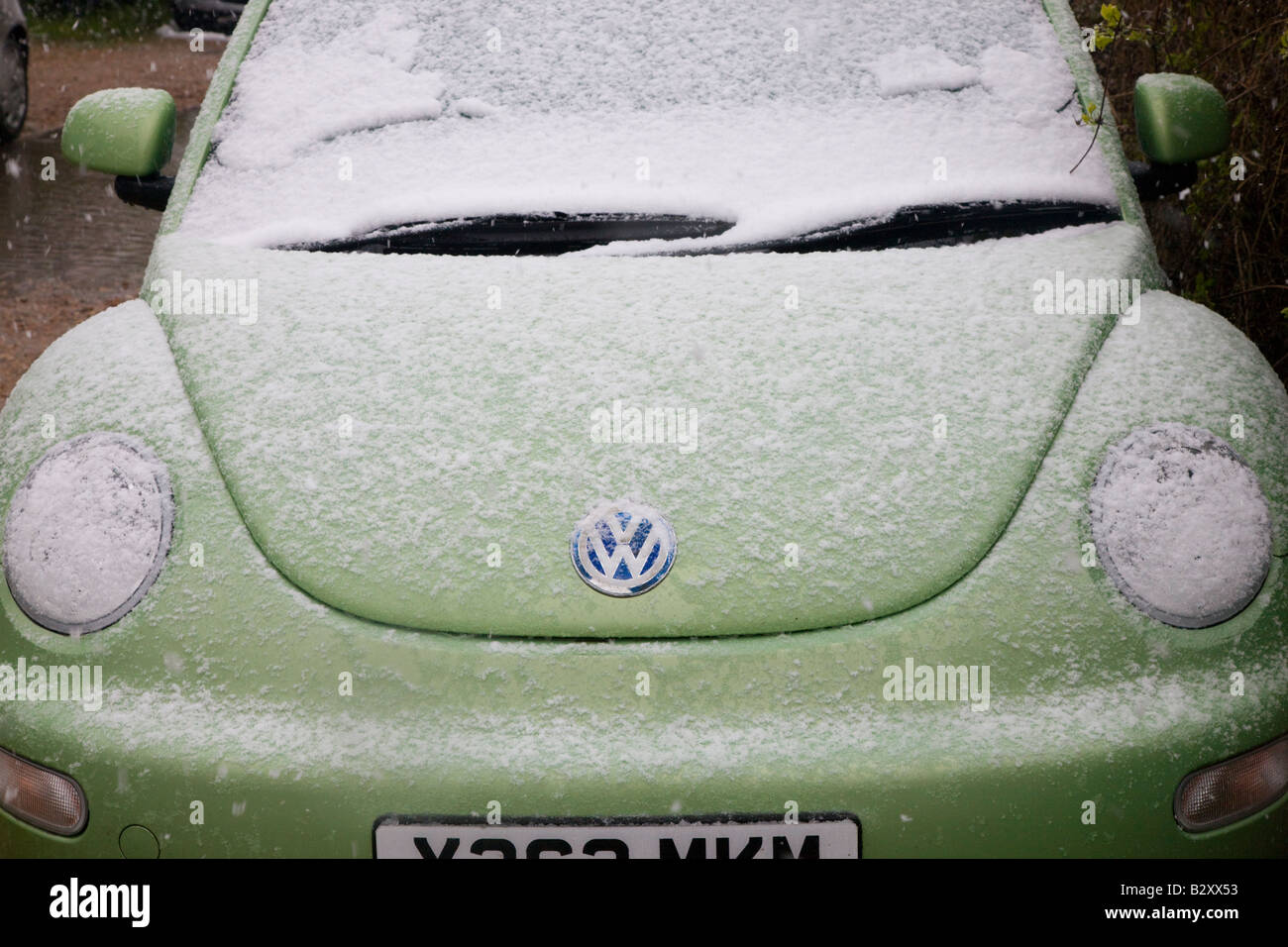 Beetle Bonnet High Resolution Stock Photography and Images - Alamy