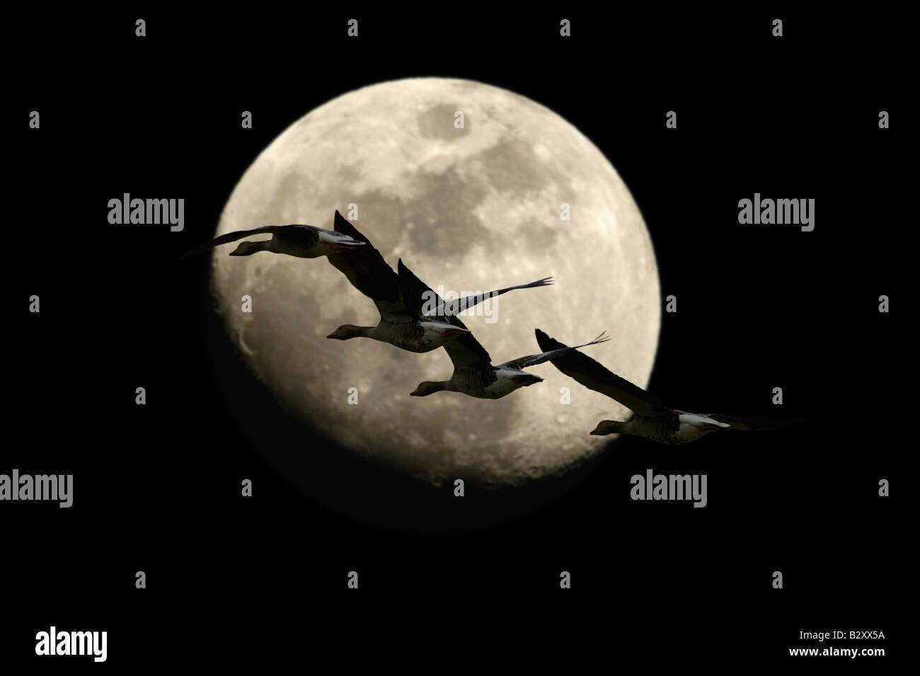 Moon voyage hi-res stock photography and images - Alamy