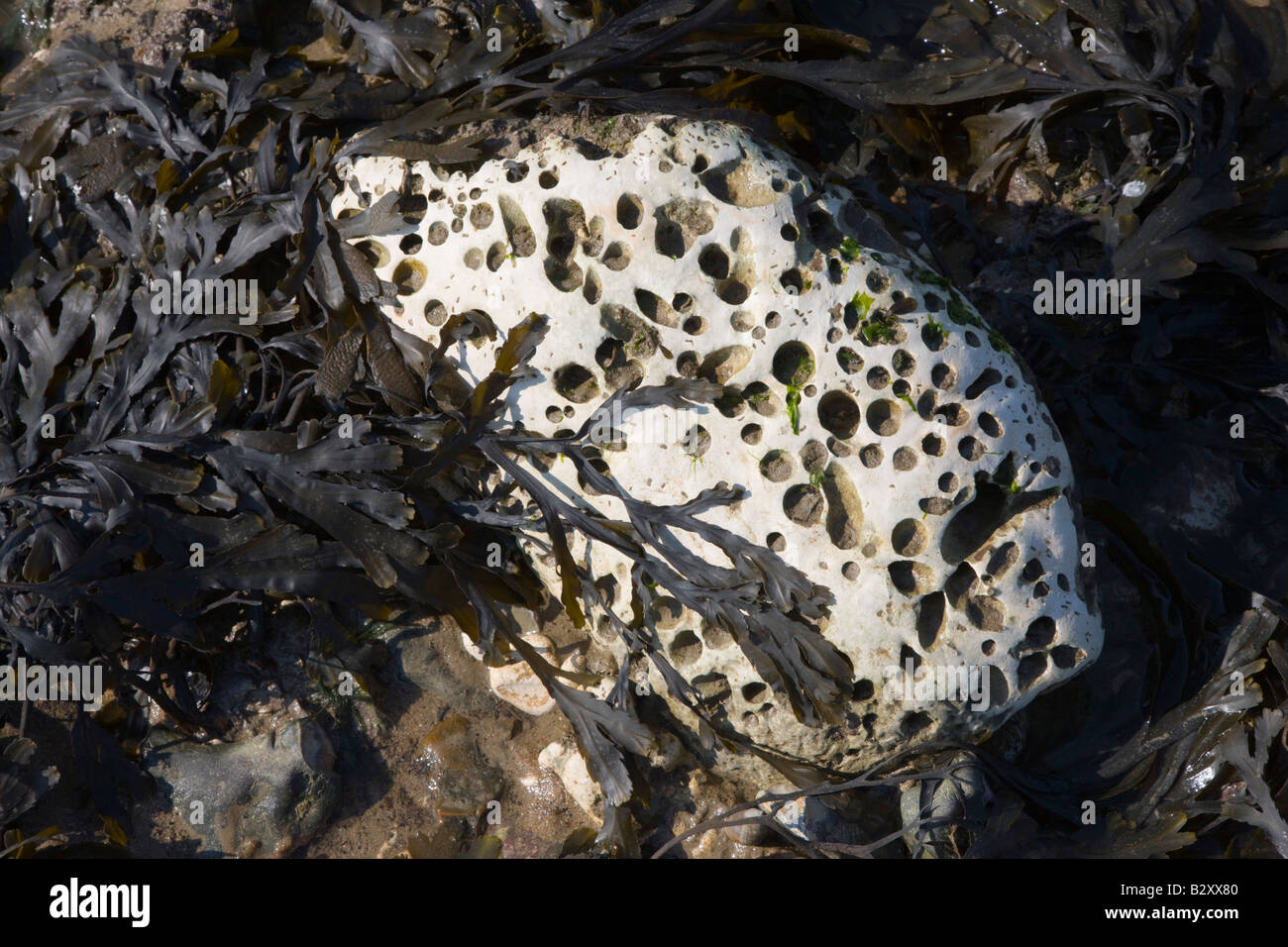 Rock holes hi-res stock photography and images - Alamy