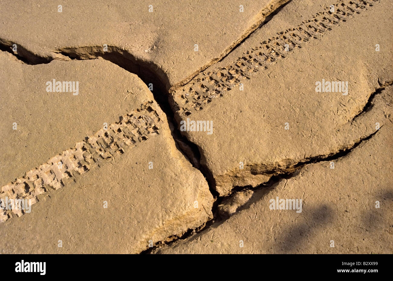 Mountain bike tracks Stock Photo - Alamy