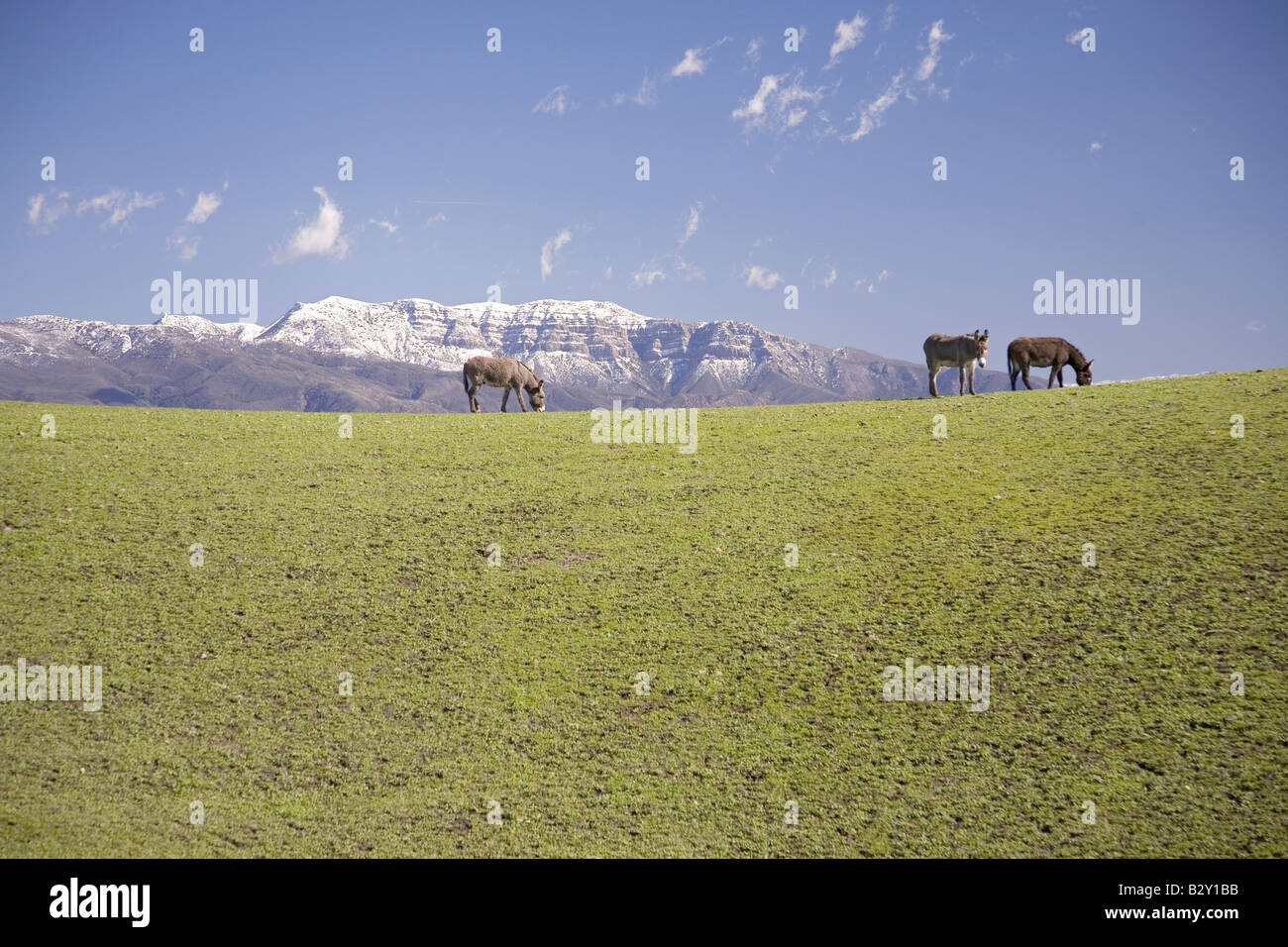 Topa topa mountains hi-res stock photography and images - Alamy
