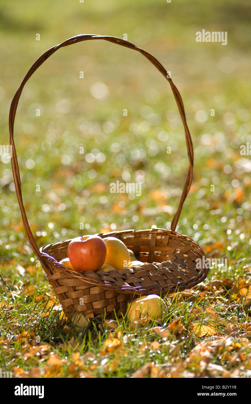 small basket with apples Stock Photo - Alamy