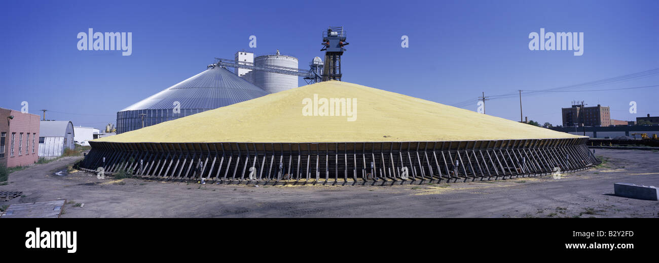 Panoramic image of a pyramid of corn stored along freight yard in North ...