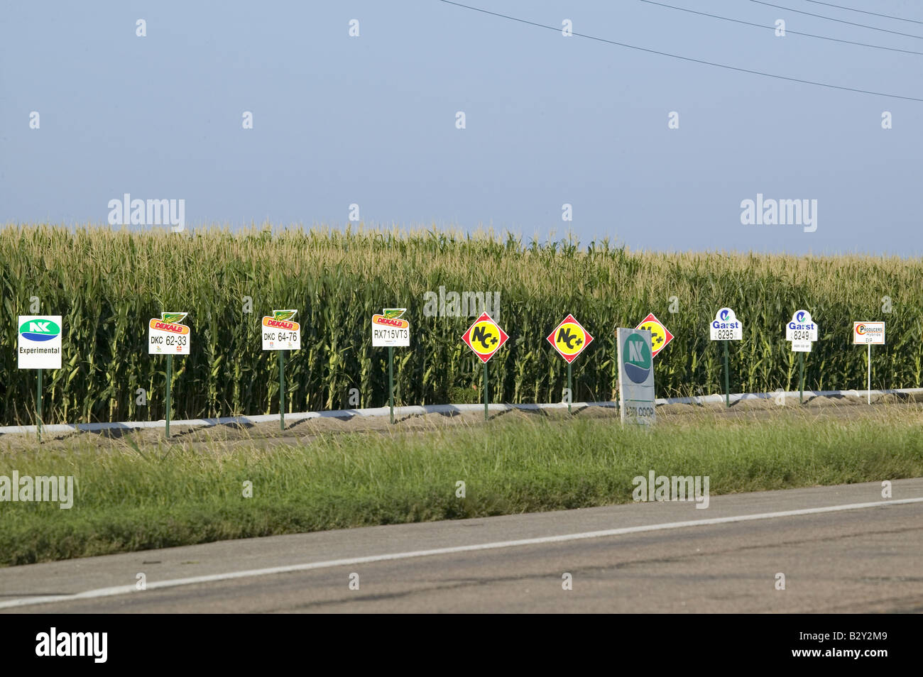 Advertisements lining cornfield, like old Burma ads, along Nebraska ...