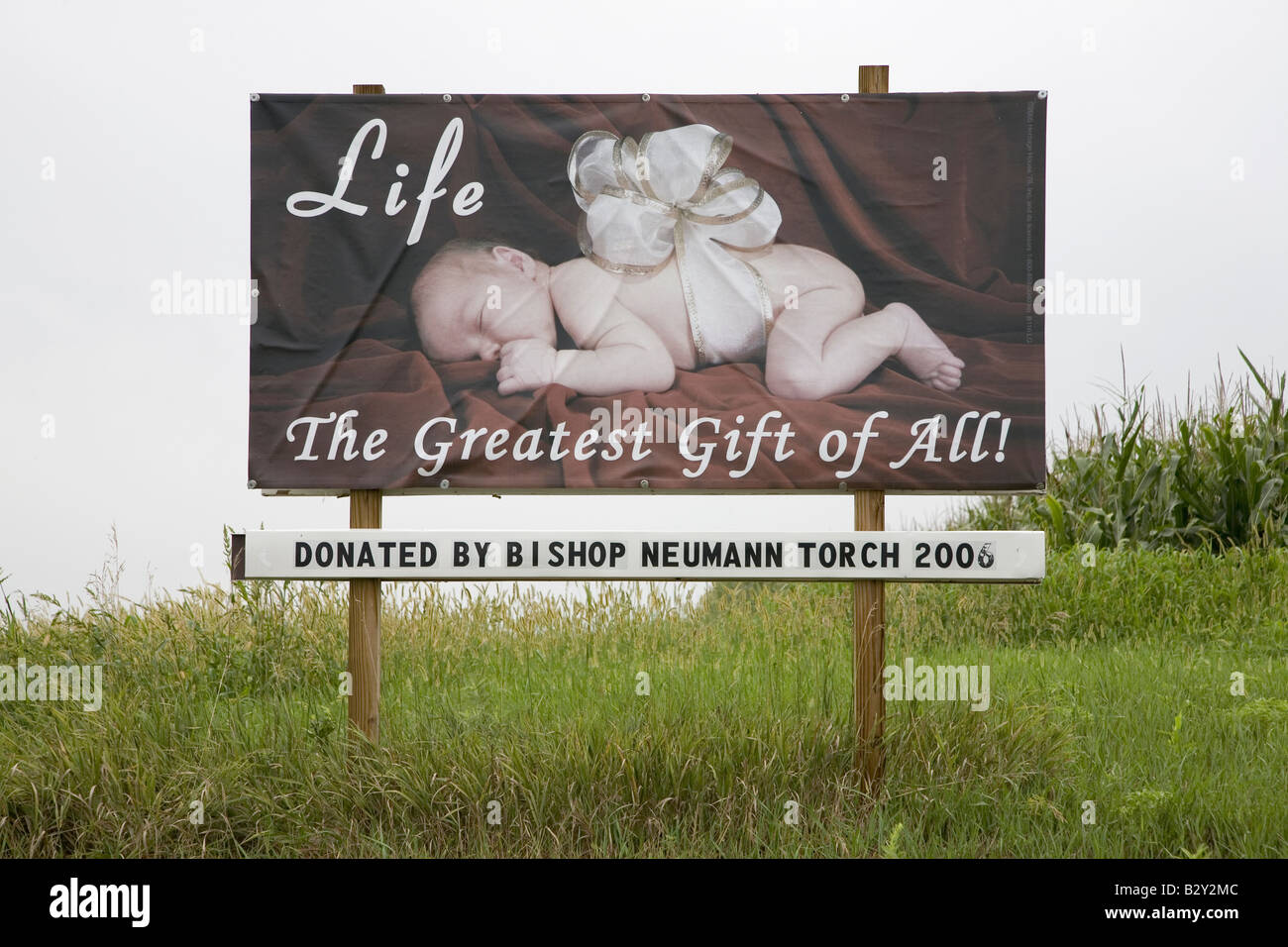 Pro Life Pictures Babies