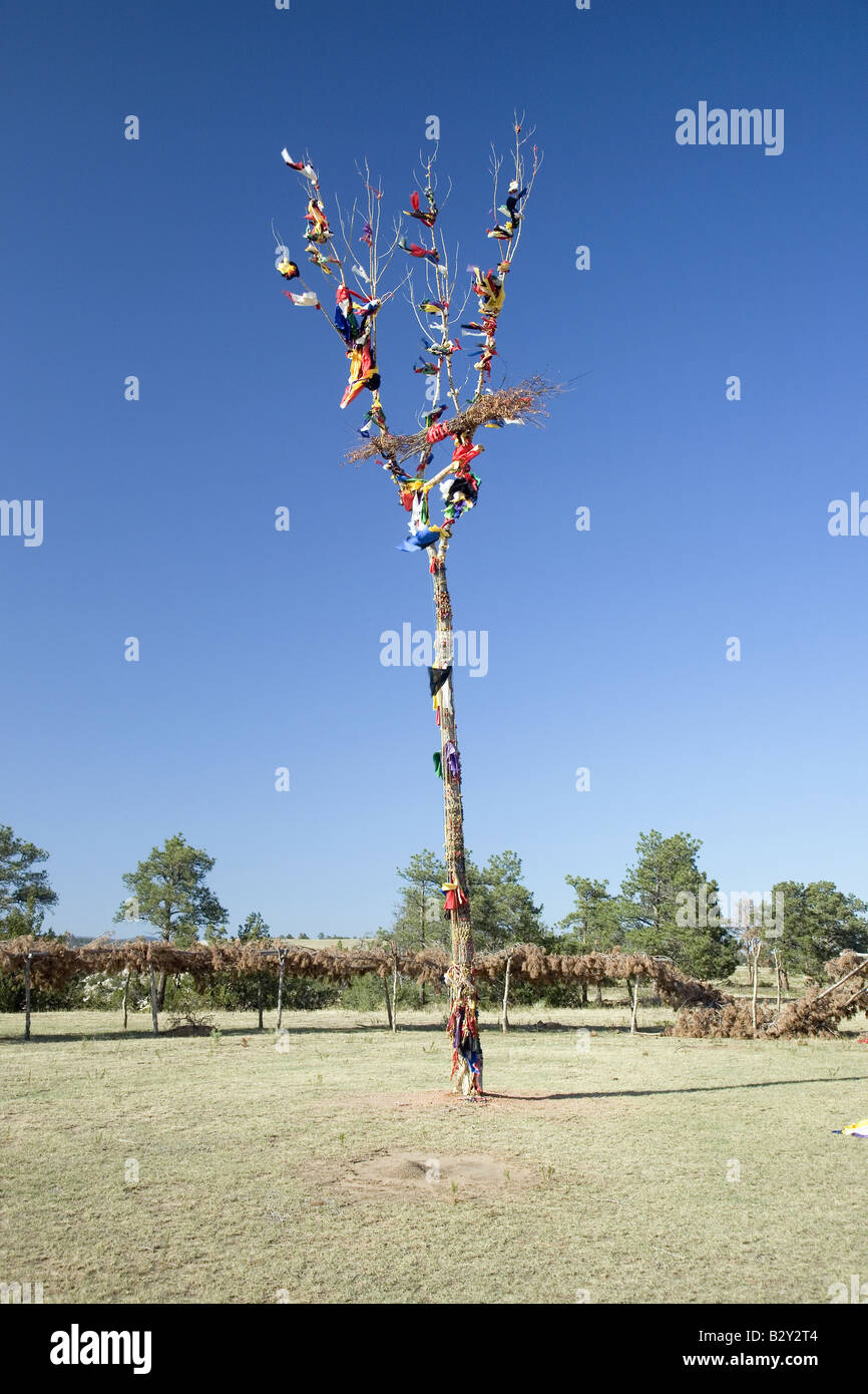Lakota Indian Prayer Tree The Sun Dance – Wiwáŋyaŋg Wačípi