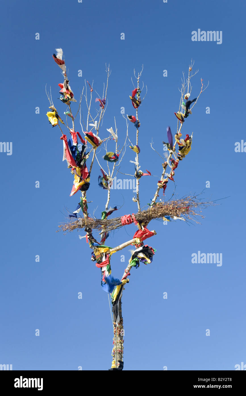 Indian Prayer Tree from Gathering of Grandmas, near Hot Springs, South ...