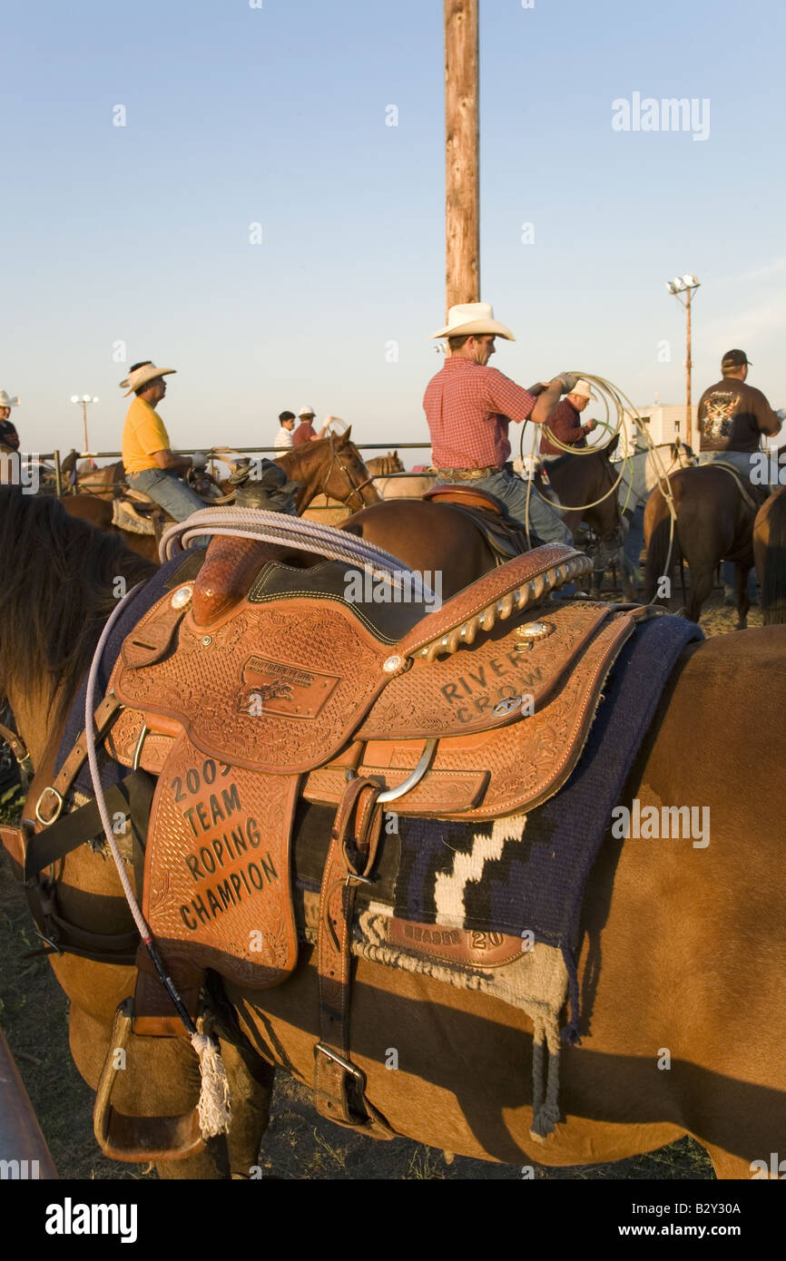Rodeo champion hi-res stock photography and images - Alamy
