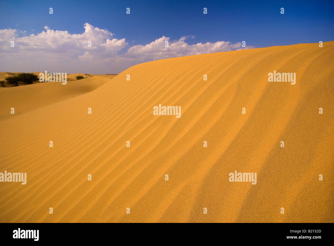 Sam Sand Dunes, Great Thar Desert, Rajasthan, India, Subcontinent, Asia ...