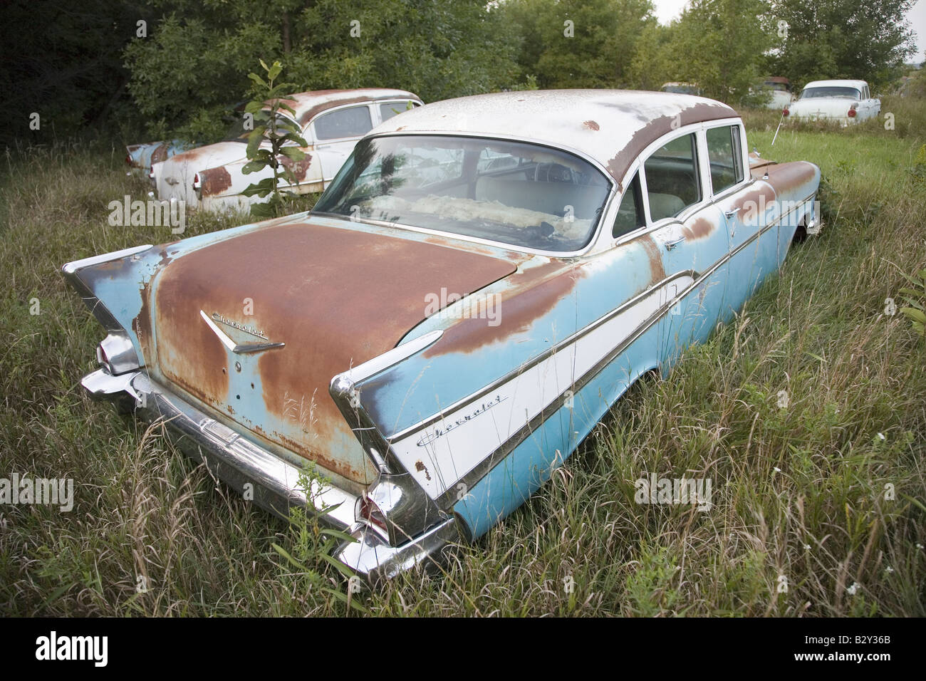 New Chevrolets and 1960's cars, never before run, rotting in farm field ...