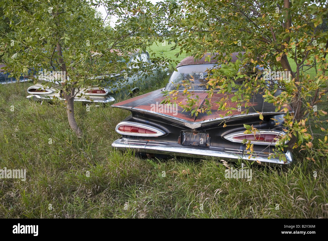 Junkyard scenes hi-res stock photography and images - Alamy