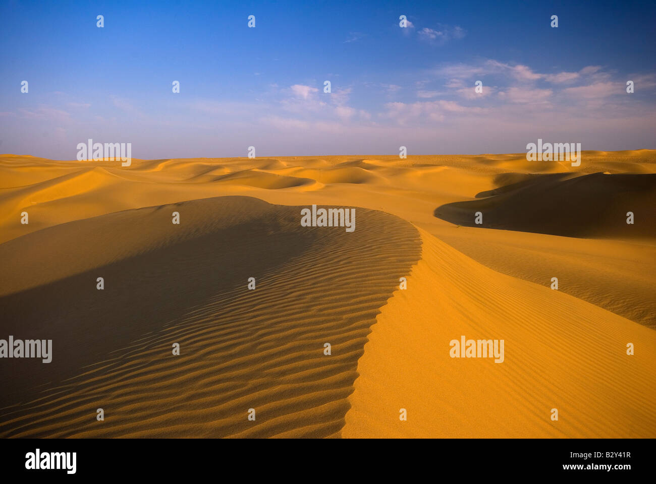 Sam Sand Dunes, Great Thar Desert, Rajasthan, India, Subcontinent, Asia ...