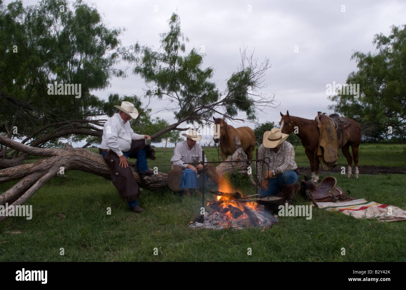 The life of a cowboy in the West USA with night campfire with horses ...