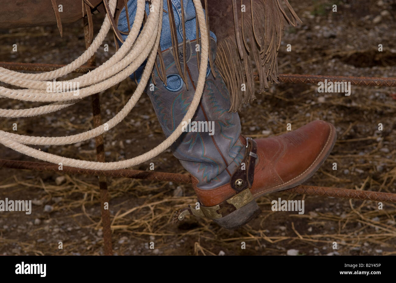 The life of a cowboy in the West USA Stock Photo - Alamy