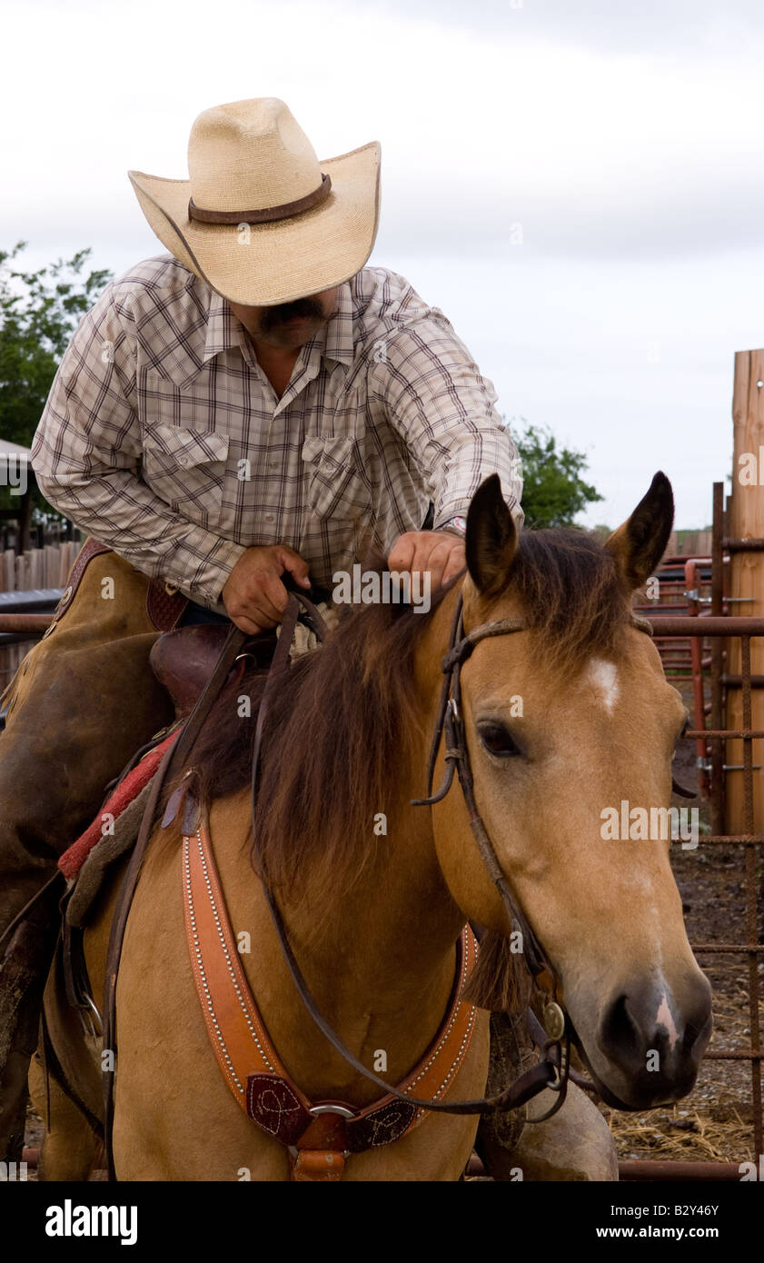 The life of a cowboy in the West USA with horse Stock Photo - Alamy