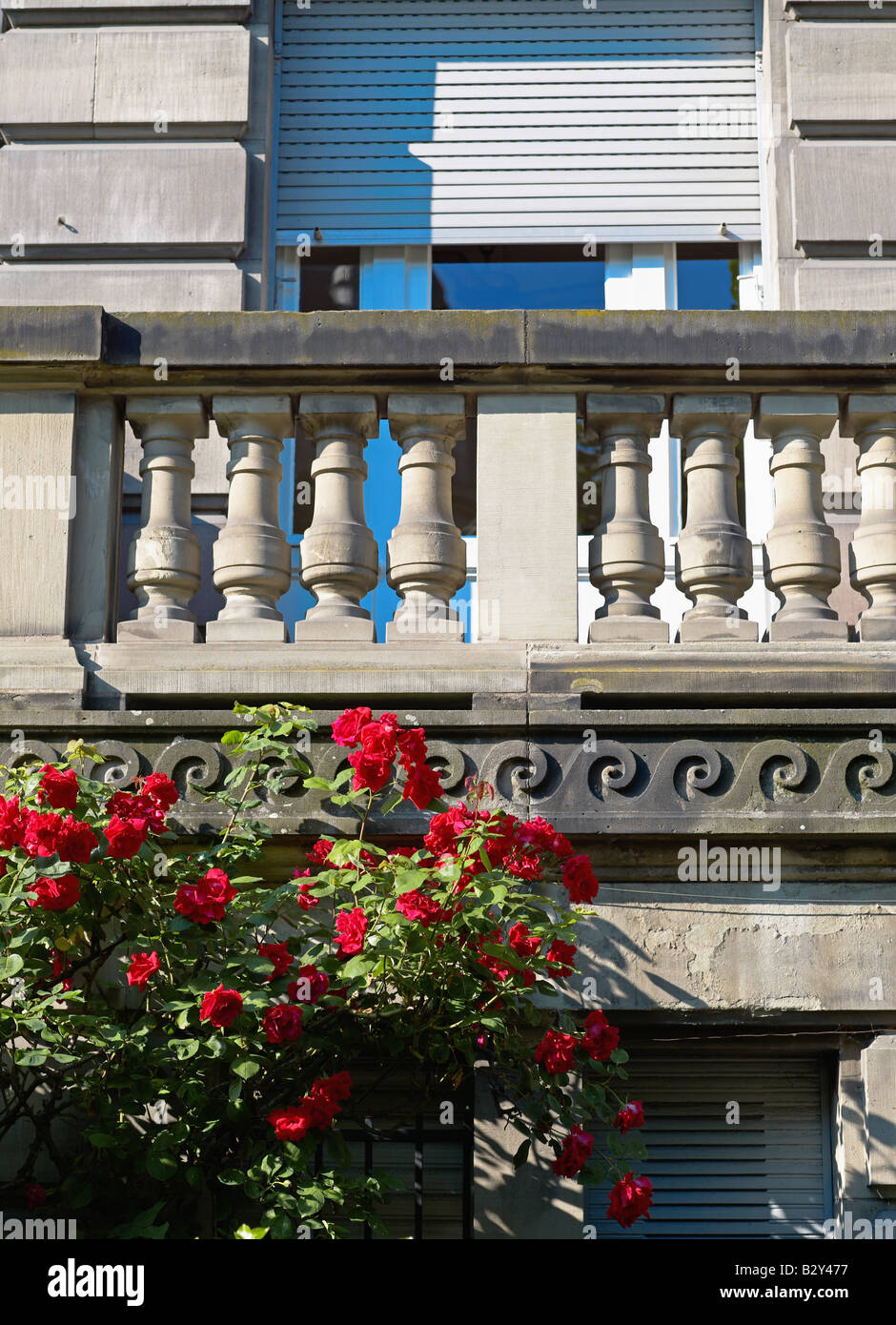 Roses Flowers And Balconies High Resolution Stock Photography and ...