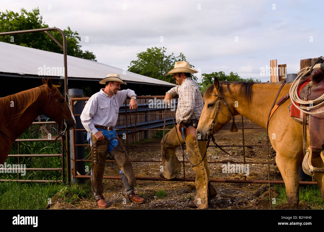 The cowboy life in the USA West as cowboys talk by horses at range ...