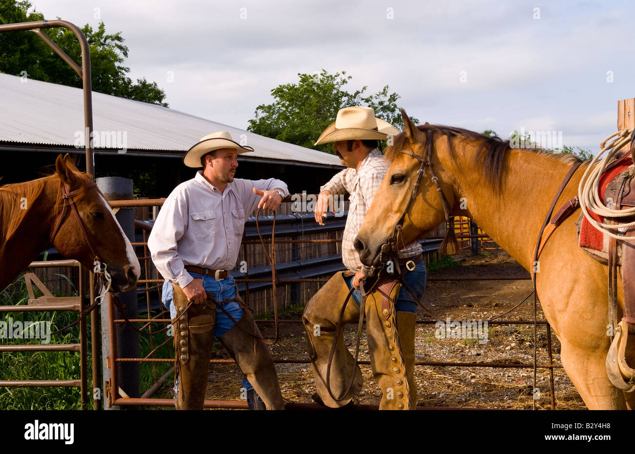 The cowboy life in the USA West as cowboys talk by horses at range ...