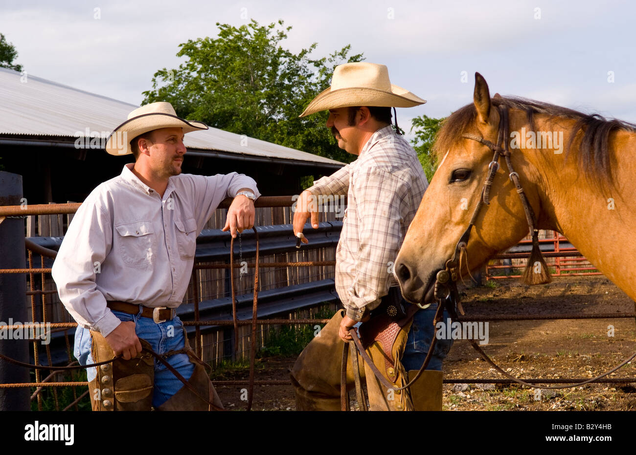 The cowboy life in the USA West as cowboys talk by horses at range ...