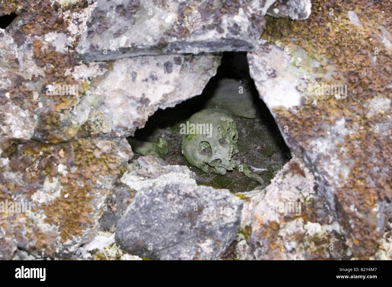A human Inuit skull in a stone chambered cairn in Ilulissat in ...