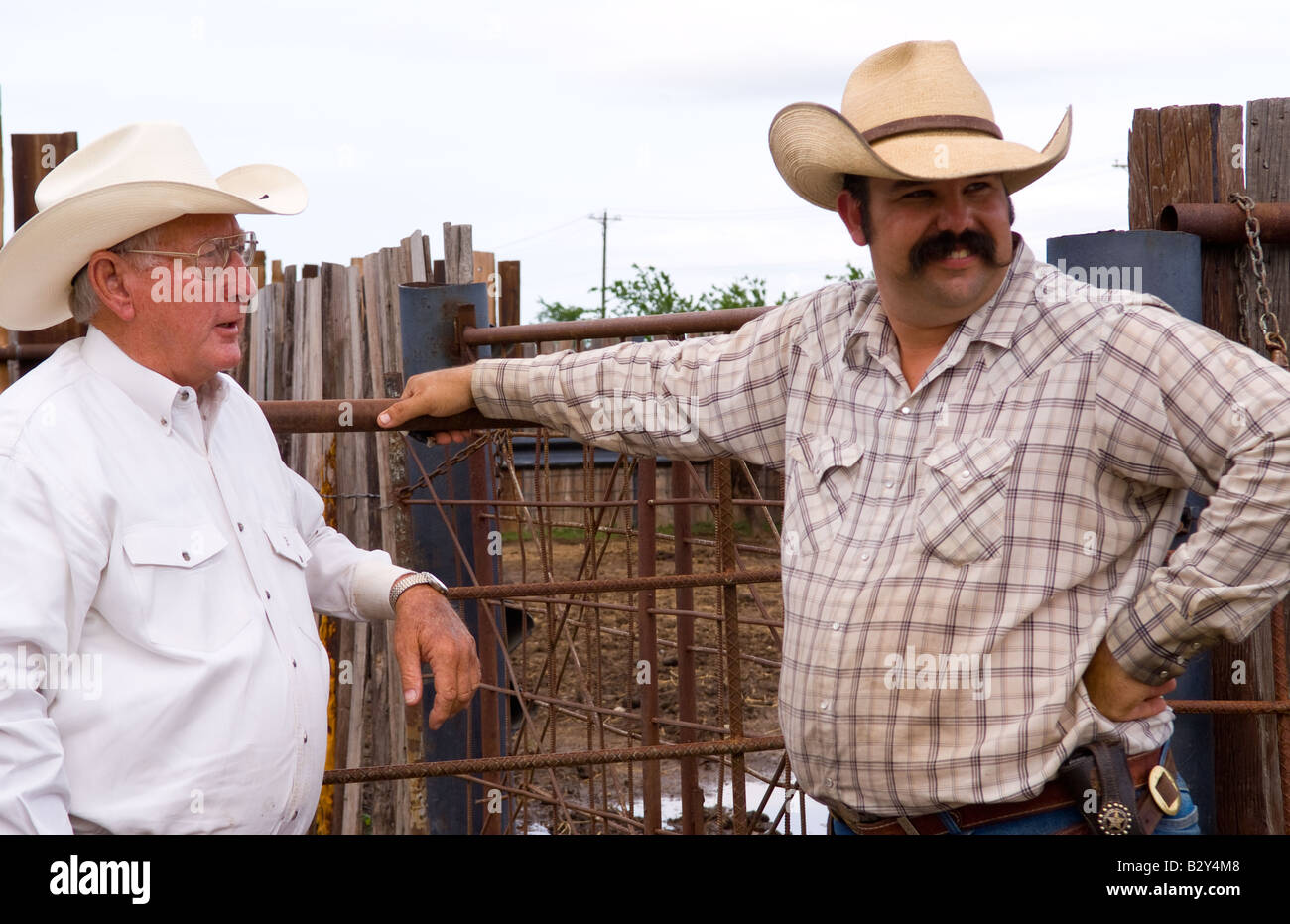 The cowboy life in the USA West as cowboys talk by horses at range ...