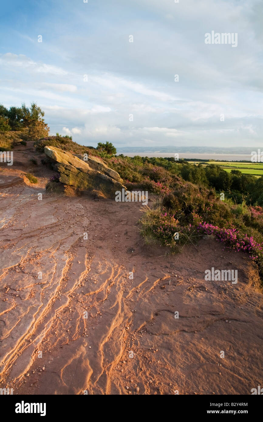 Thurstaston Common High Resolution Stock Photography and Images - Alamy