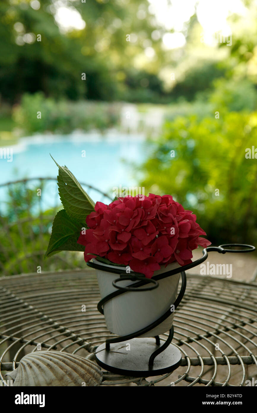 pot with flower on small table, outdoor Stock Photo - Alamy