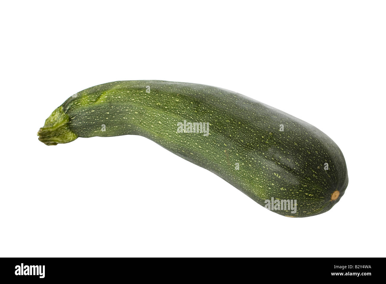 Ripe zucchini or courgette isolated on a white background Stock Photo ...