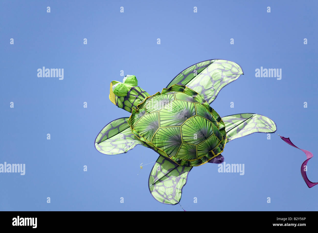 A turtle-shaped kite flying in a deep blue sky on April 15, 2007, at ...