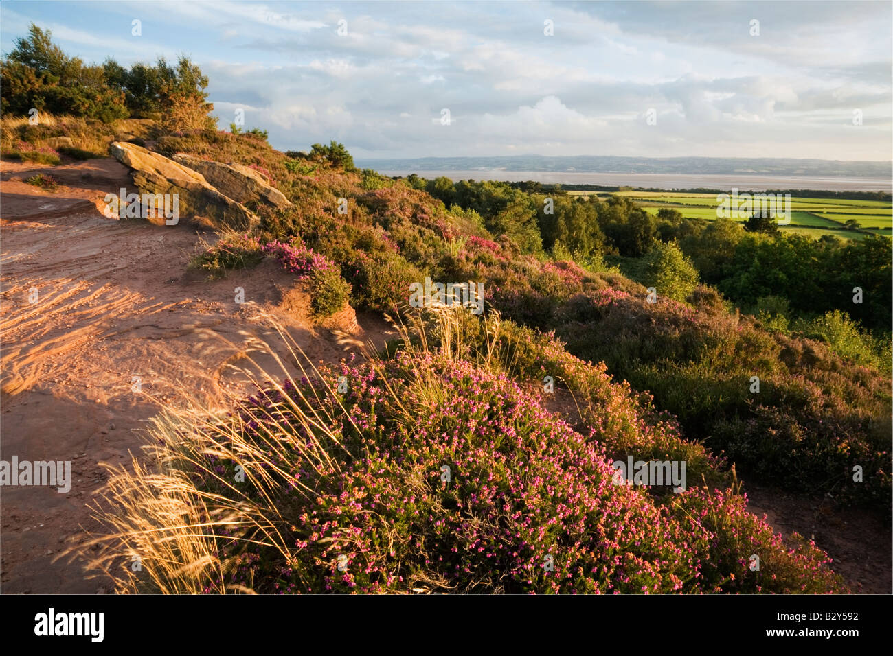 Thurstaston High Resolution Stock Photography and Images - Alamy