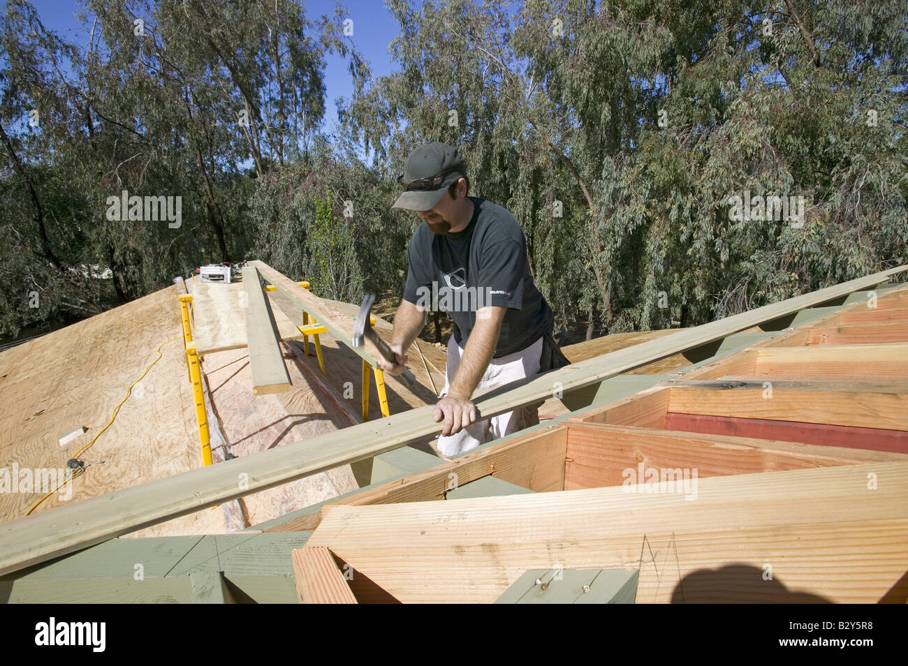 Carpenter hammering tongue & groove board on roof of new house ...