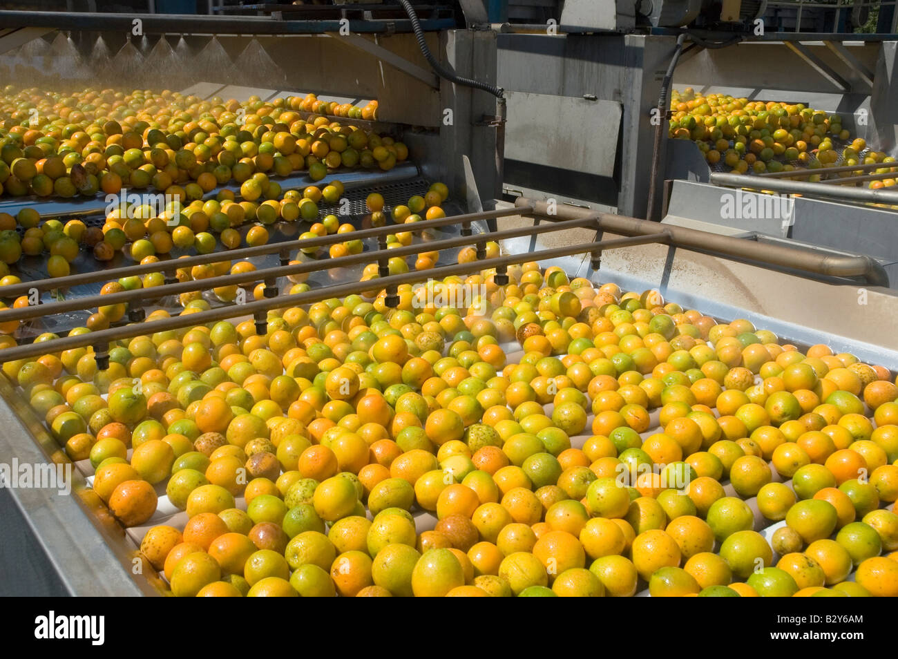 Oranges factory hi-res stock photography and images - Alamy