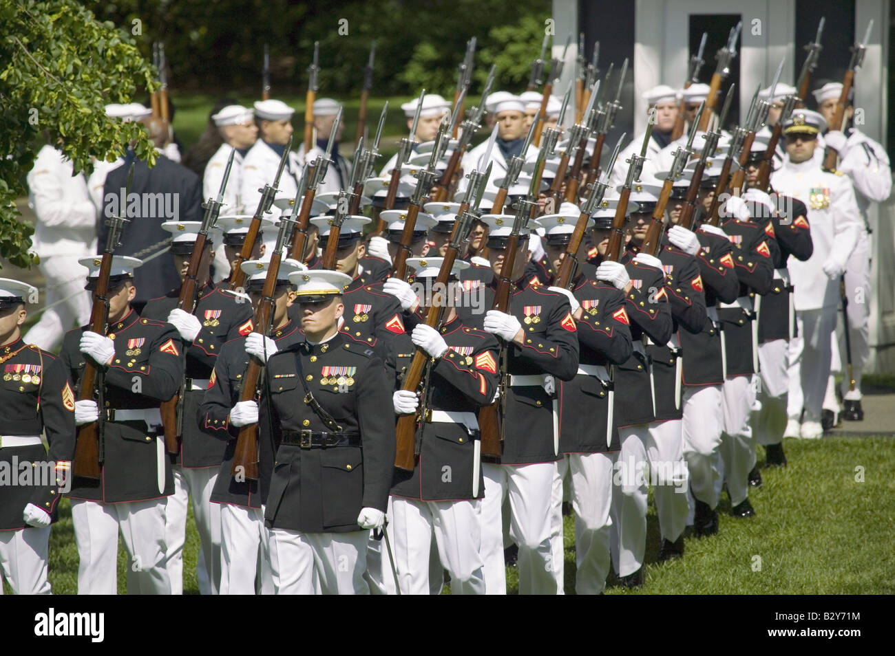 Military branches hi-res stock photography and images - Alamy